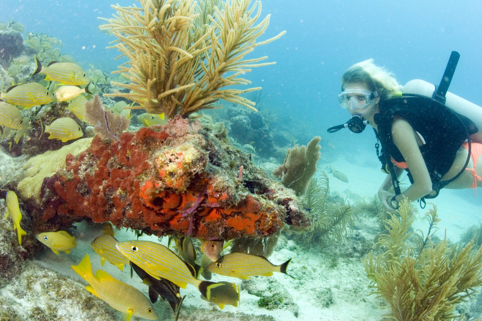 FLORIDA KEYS TOURISM HOLDING STEADY AS OTHER MARKETS SOFTEN; TDC CEO TO ...
