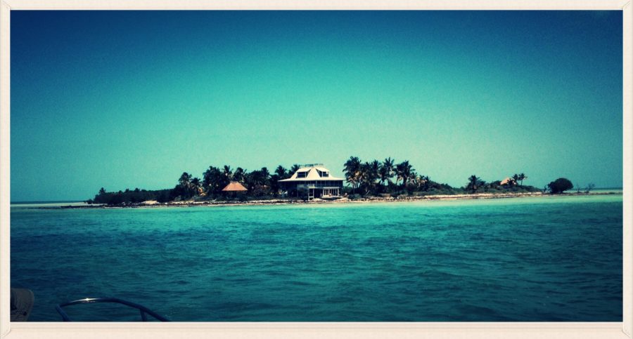 The Brilliant Life of David Wolkowsky