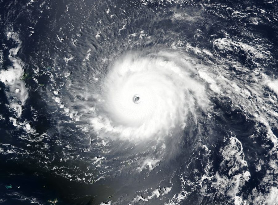 12 tips from a local about ‘the big one’