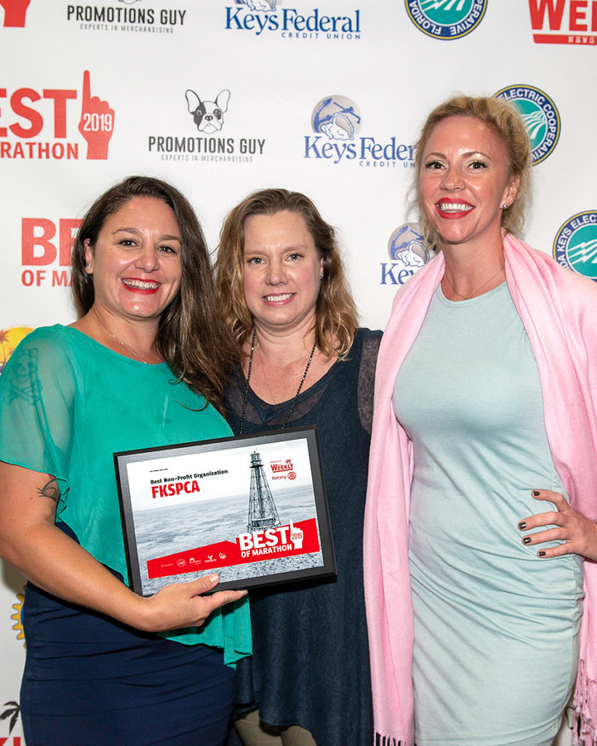 The Best of Marathon 2019 Winners in Pictures