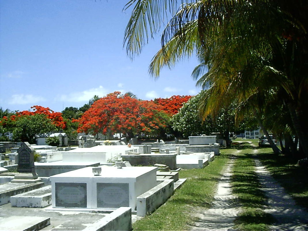 Tree Planting Honors Veterans -- Nov. 7th, Key West Cemetery