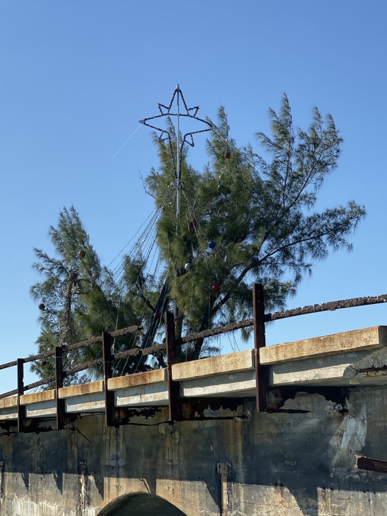 ELVES DRESS FRED – Keys tree sends seasonal beacon