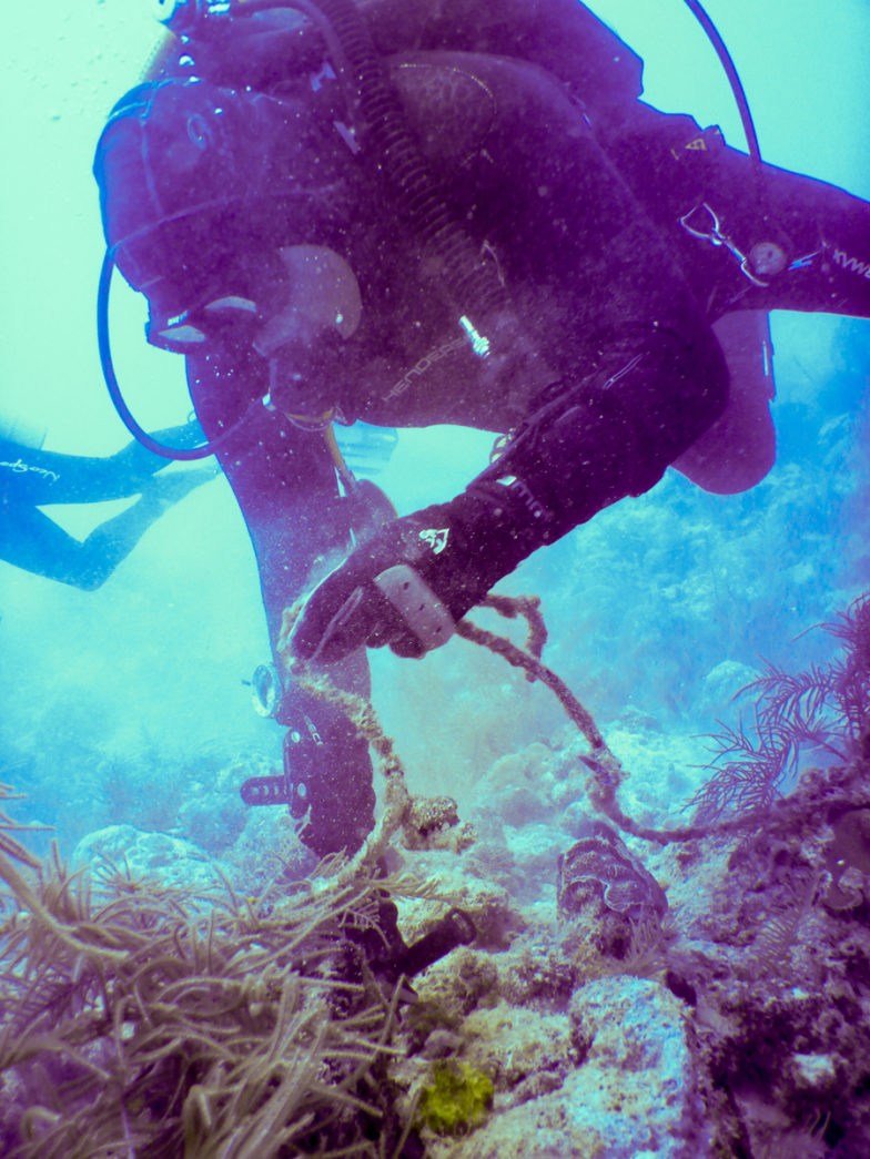 Key Dives passes milestone 10,000 pounds of debris pulled out of the ...
