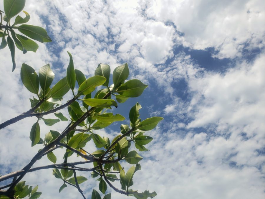 The season of May – A whole season in one month