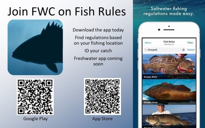 FWC’s Fish Rules App makes it easy to figure out fishing regulations on ...
