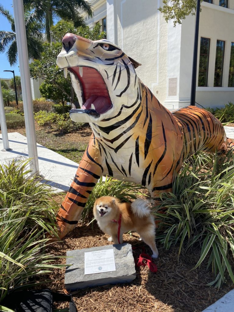 Keys Weekly readers share pictures of their favorite furry friends
