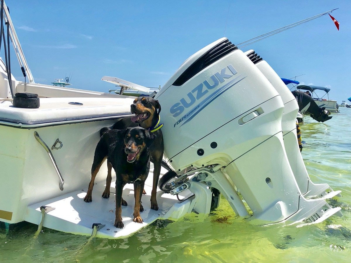 READERS SHARE THEIR FAVORITE FURRY FRIENDS