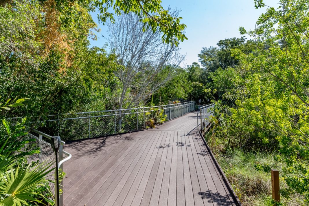 KEY WEST BOTANICAL GARDEN TURNS 85