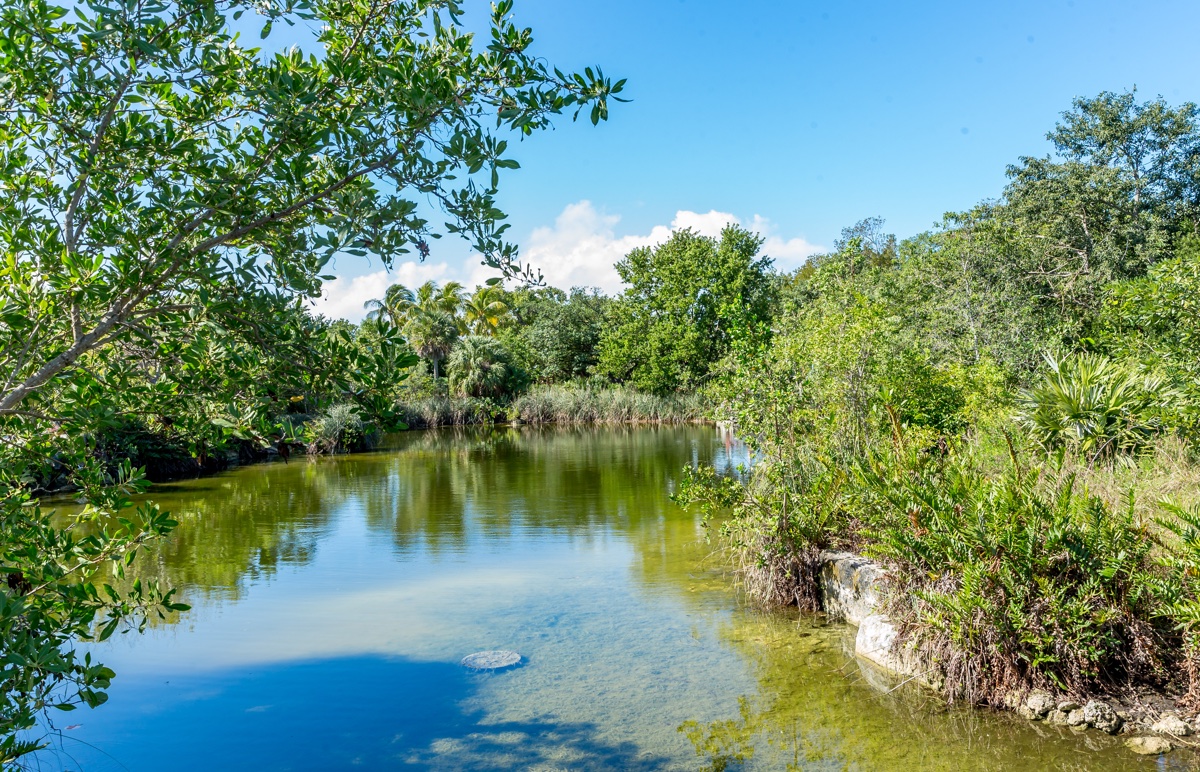 KEY WEST BOTANICAL GARDEN TURNS 85