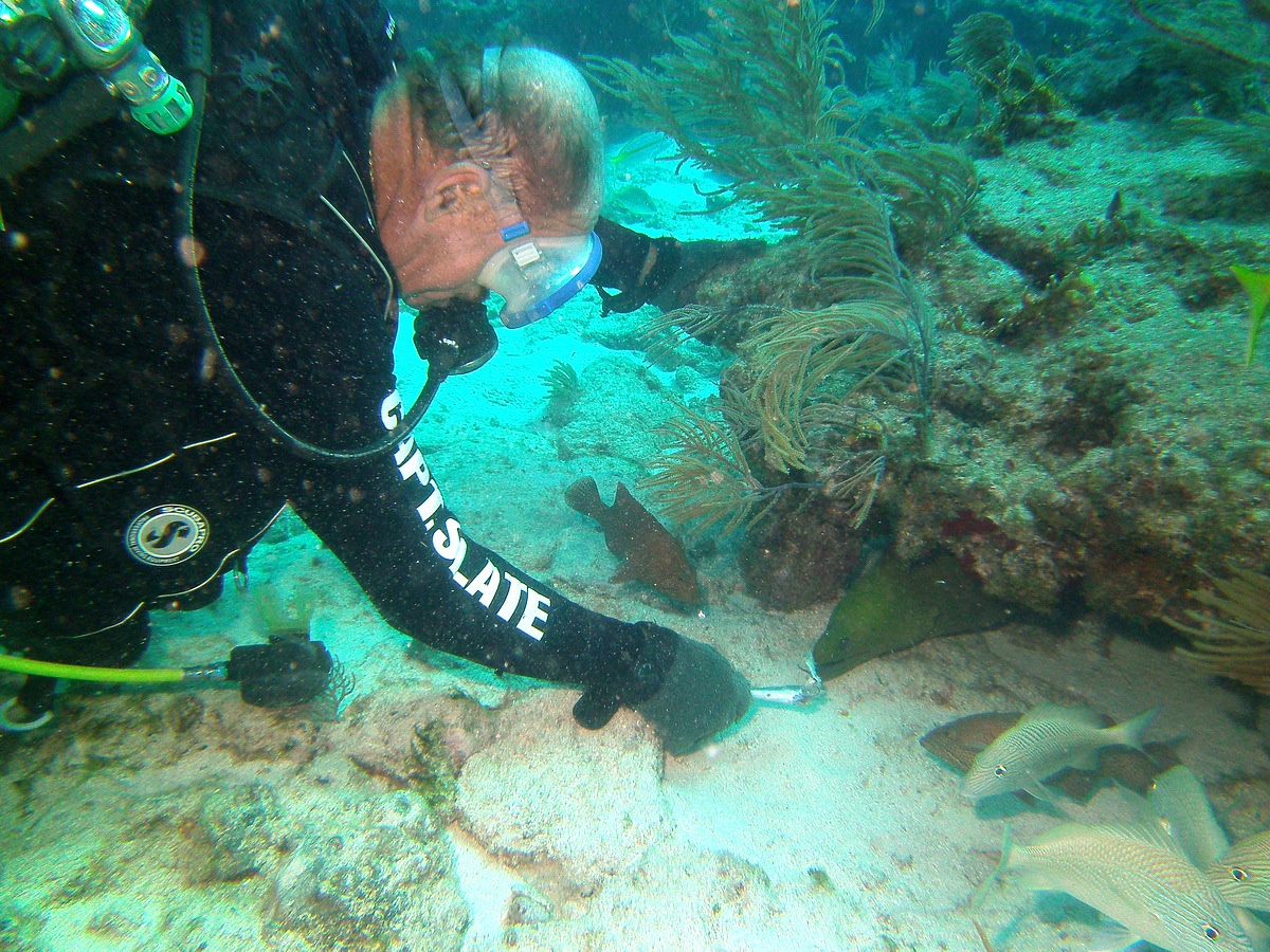 TAVERNIER DIVER SPENCER SLATE'S UNDERWATER WORLD