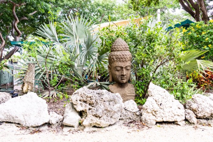 COCO PLUM PLACE 'HAS SOMETHING FOR EVERYONE'