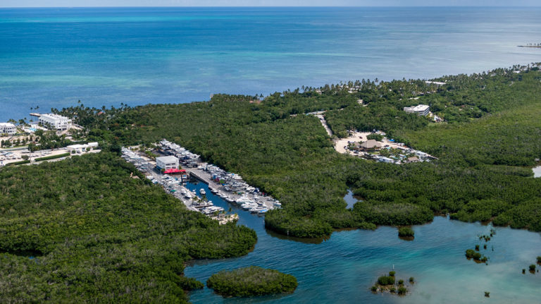 Islamorada marinas see new owners