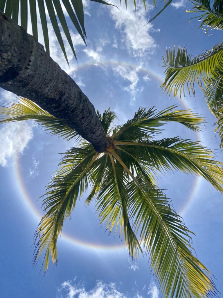 CELEBRATING THE WEIRD, WACKY & BEAUTIFUL WEATHER IN THE FLORIDA KEYS