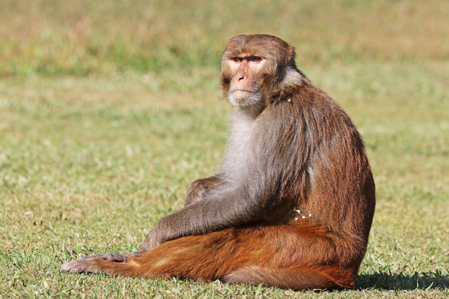 WHO NAMED THE KEYS? ORIGINS AS QUIRKY AS THE INHABITANTS