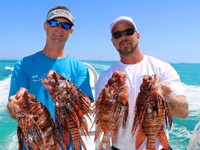 DIVE REPORT: HUNTING FOR LIONFISH
