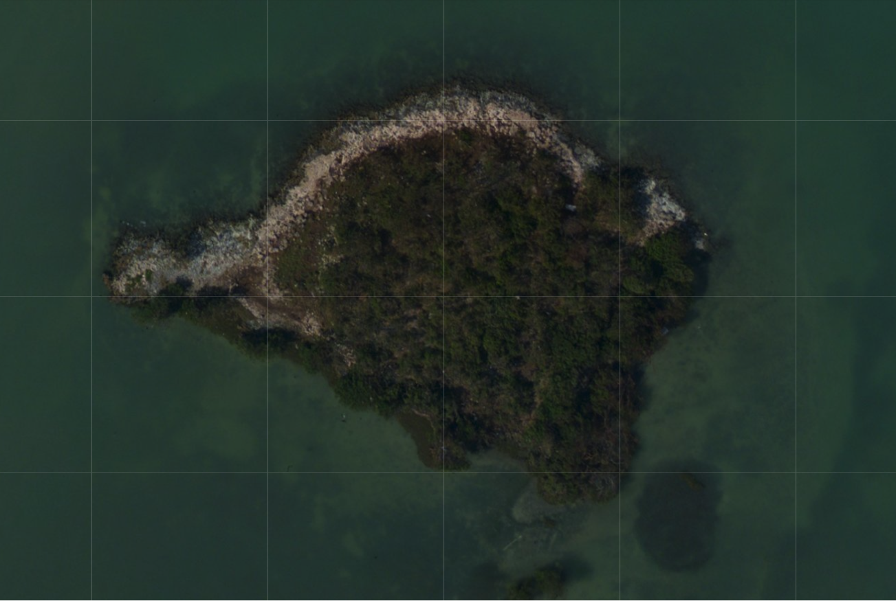 Vegetation removal from West Fanny Key sparks residents’ outcry