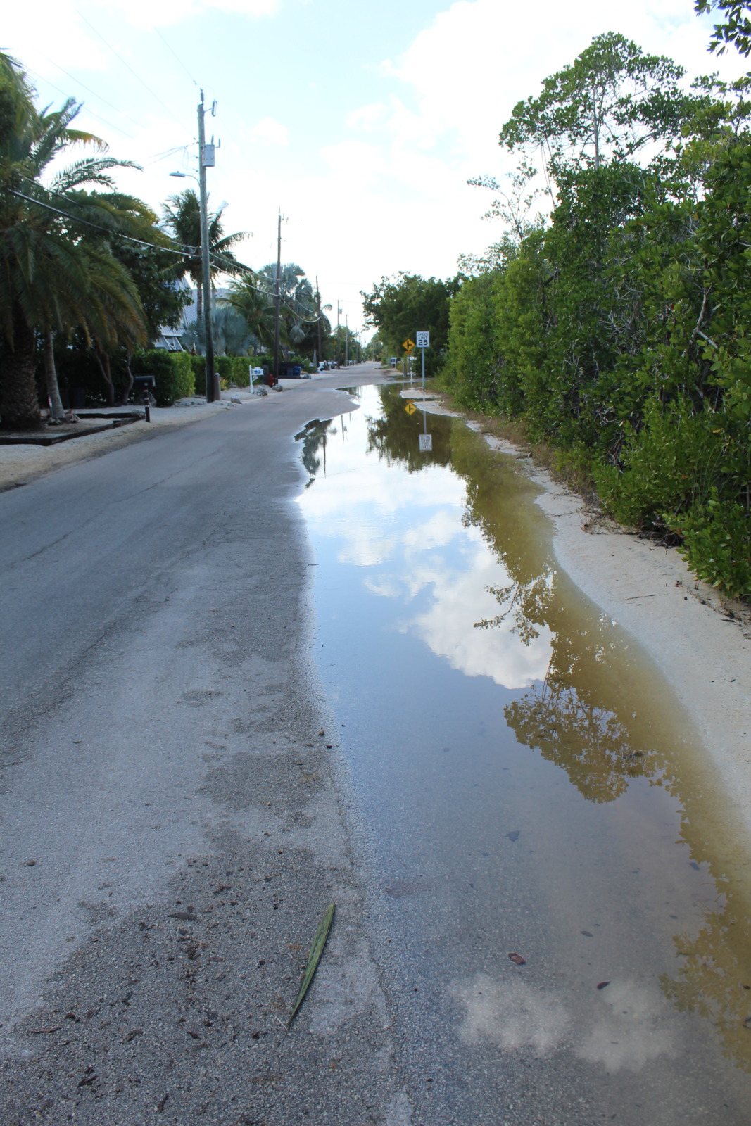 ROAD FLOODING RETURNS TO UPPER KEYS COMMUNITY