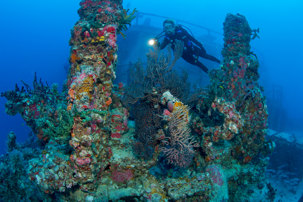 THEN & NOW: EXPLORING THE FLORIDA KEYS UNDERWATER WITH FAMED ...