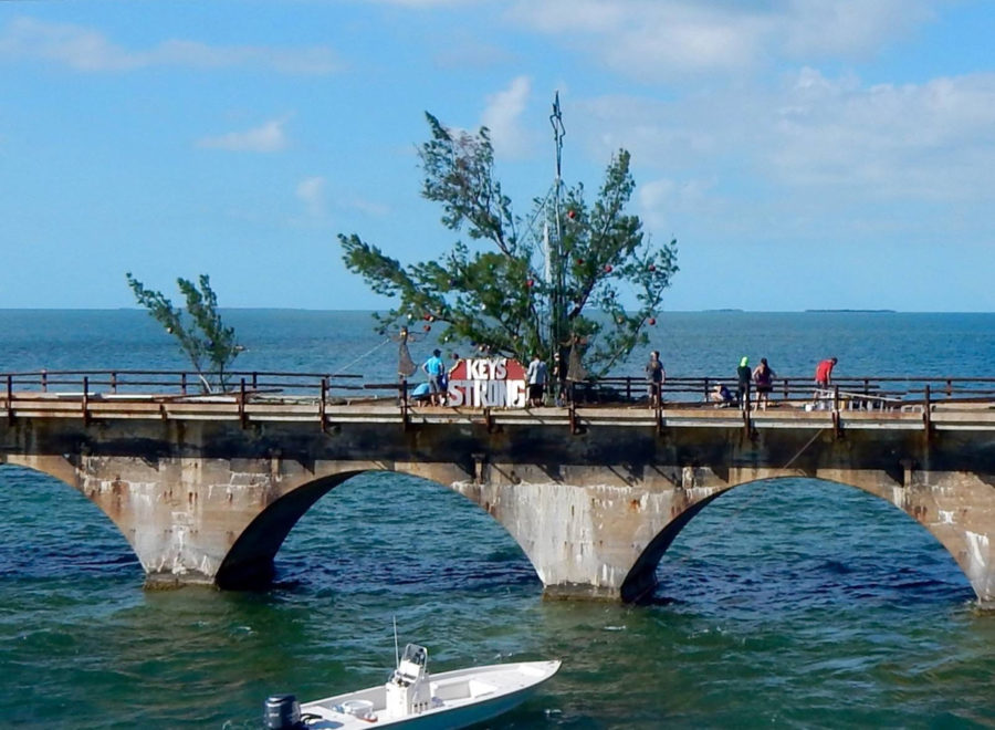 EXCLUSIVE INTERVIEW WITH FRED THE TREE - ANNUAL HOLIDAY MAGAZINE