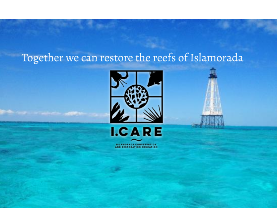 IN PICTURES: SANDBAR HOSTS FULL MOON FUNDRAISER FOR I.CARE