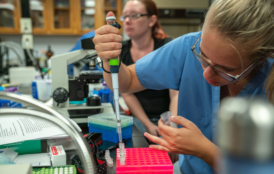 MARCH 5TH KEYS MARINE LAB OPEN HOUSE TO FEATURE NEW SEAWATER SYSTEMS