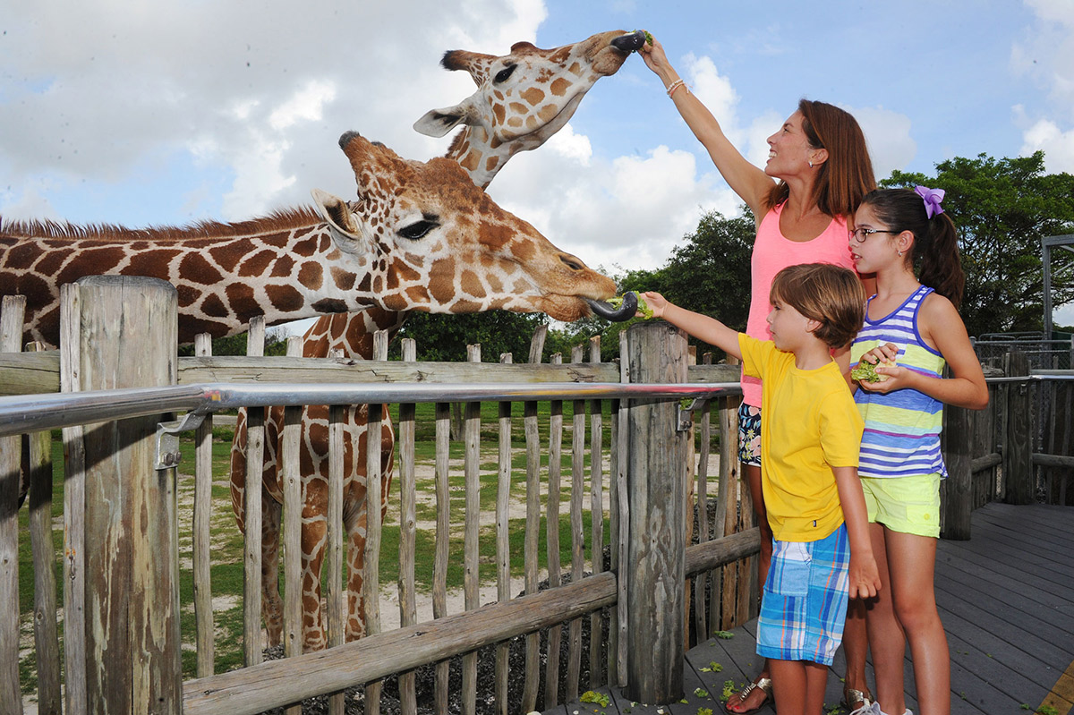 CAPTAIN CORAL & CREW INVADE ZOO FOR CORALPALOOZA KICKOFF