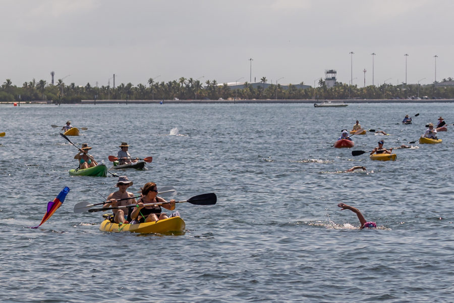 IN PICTURES: 12.5-MILE SWIM AROUND KEY WEST DRAWS 172 ATHLETES