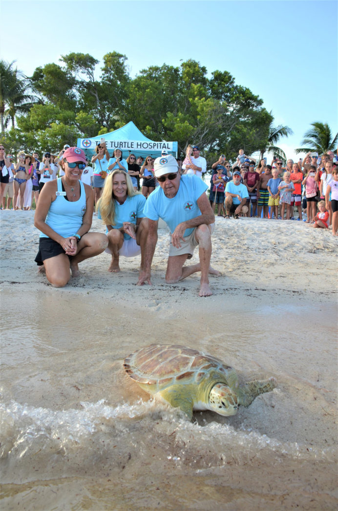 IN PICTURES: PAPA HEMINGWAY LOOK-ALIKES HELP TURTLES RETURN TO THE OCEAN