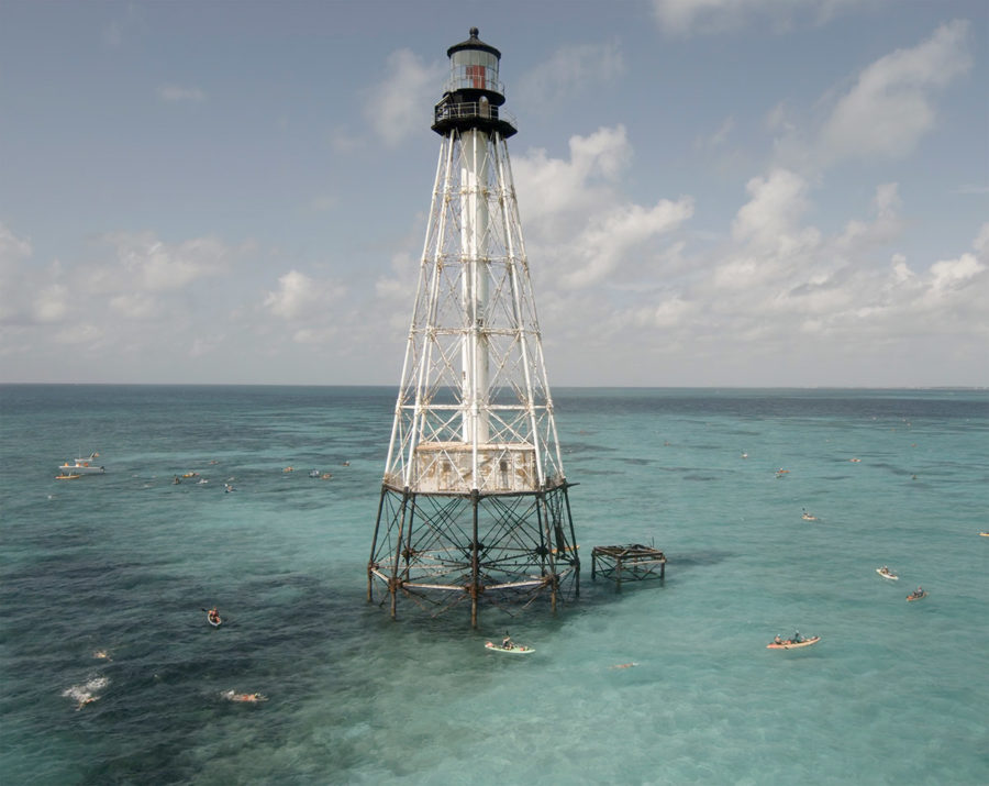 LAP AROUND ALLIGATOR: ANNUAL SWIM SUPPORTS HISTORIC LIGHTHOUSE