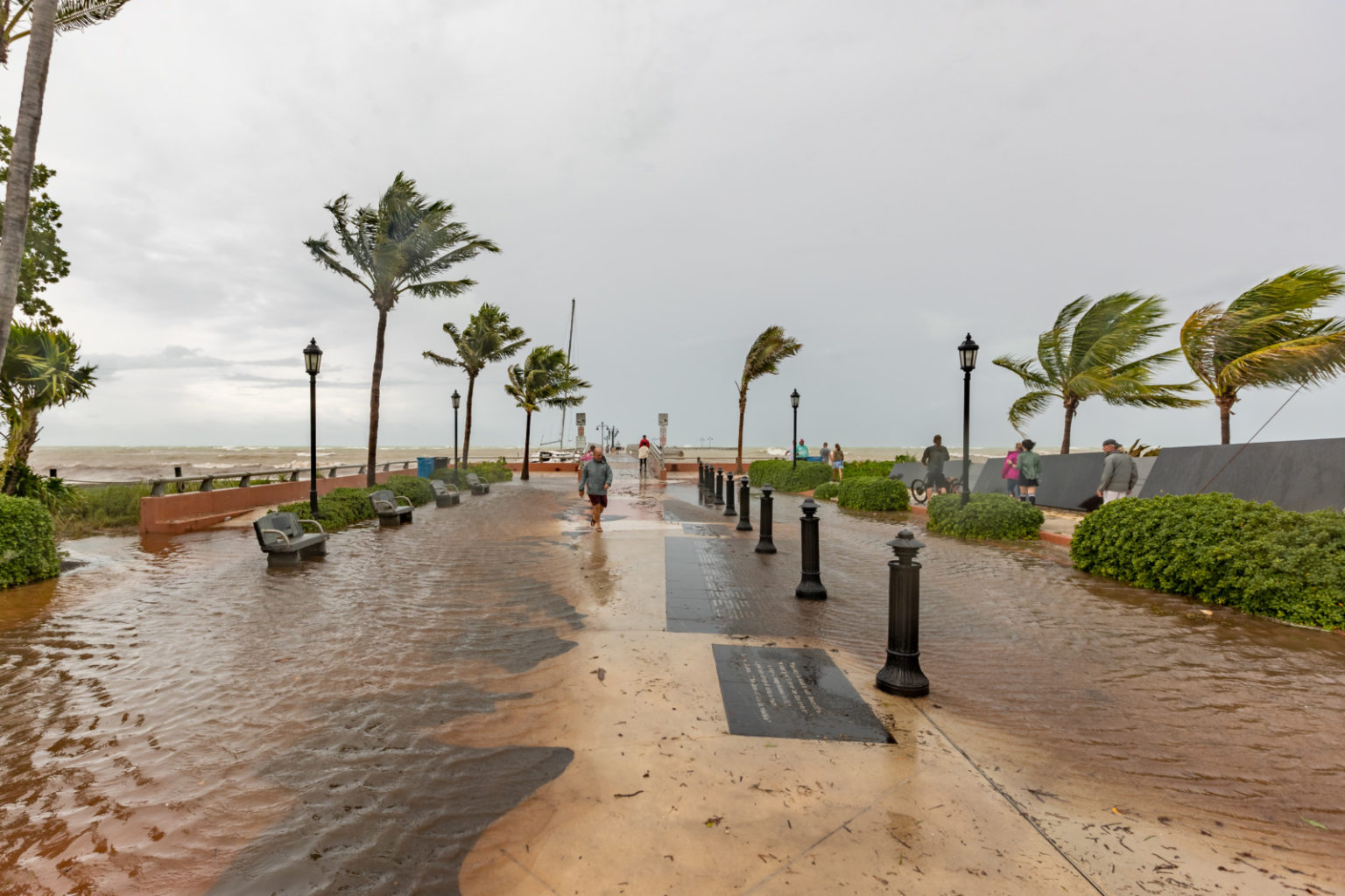 HURRICANE IAN FLOODS KEY WEST, DOWNS TREES & CUTS POWER