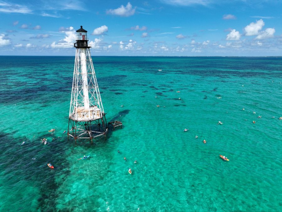 NEARLY 450 SWIMMERS COMPETE IN SWIM TO ICONIC ALLIGATOR LIGHTHOUSE IN ...