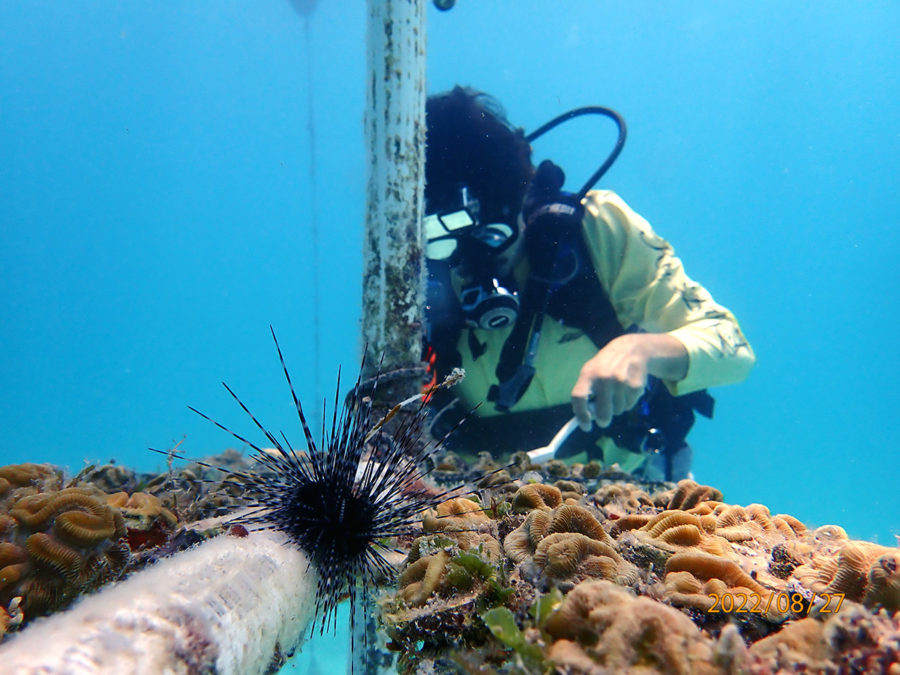 AQUARIUM ENCOUNTERS JOINS REEF RENEWAL USA IN CORAL RESTORATION EFFORTS