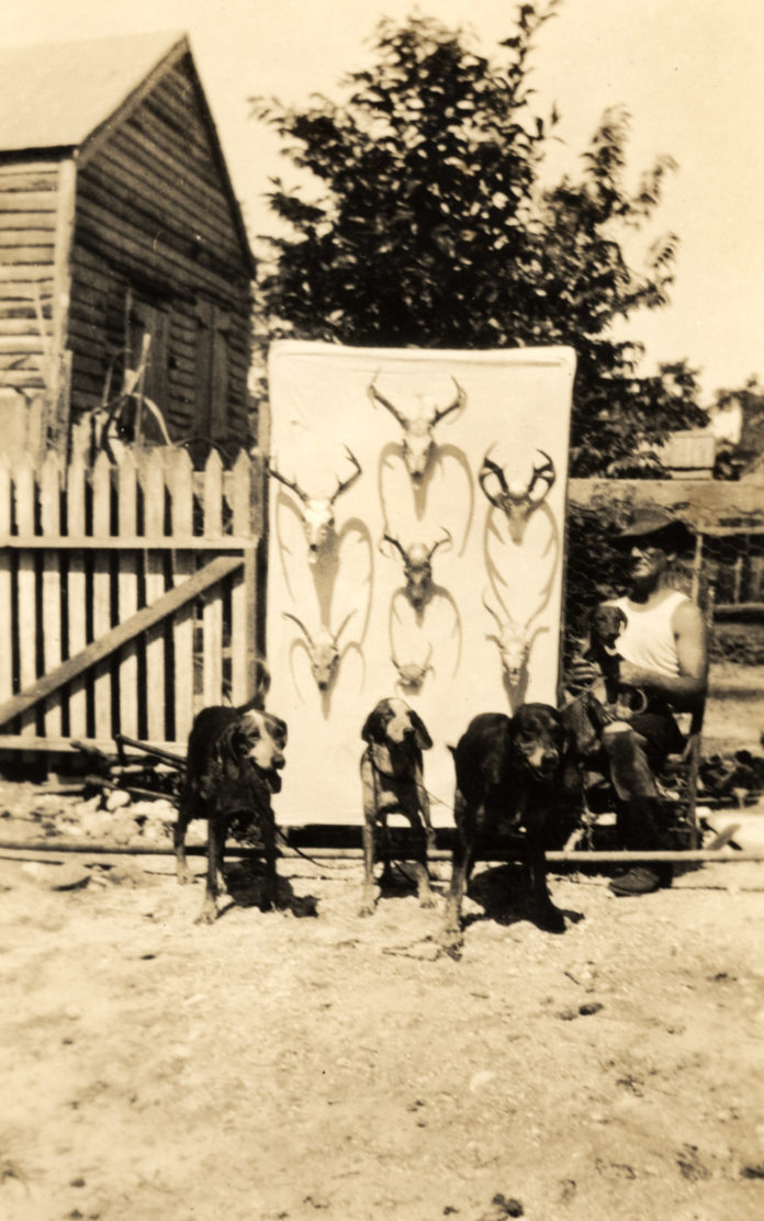 FLORIDA KEYS NATIVES: THE HISTORY OF THE CALUSAS & KEY DEER