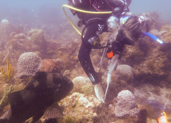SCIENTIFIC DIVERS COMBAT DEADLY CORAL DISEASE BY HAND