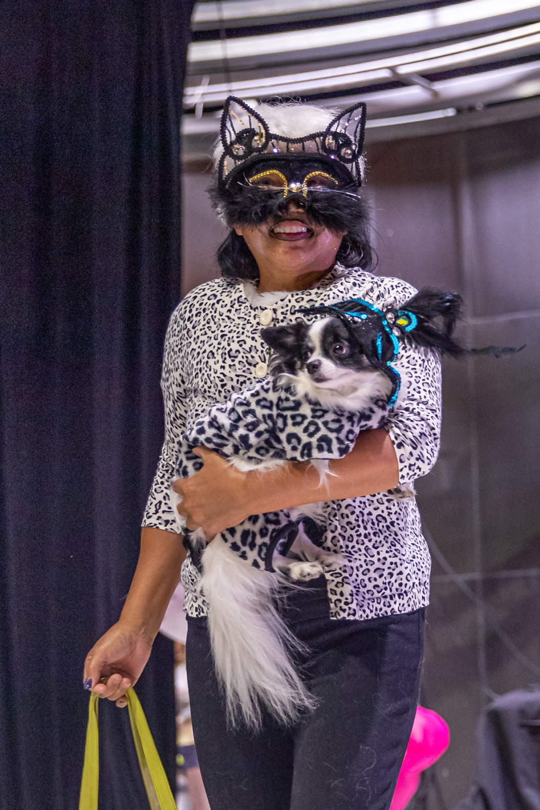PARTY ANIMALS DRESS UP FOR KEY WEST’S PET MASQUERADE