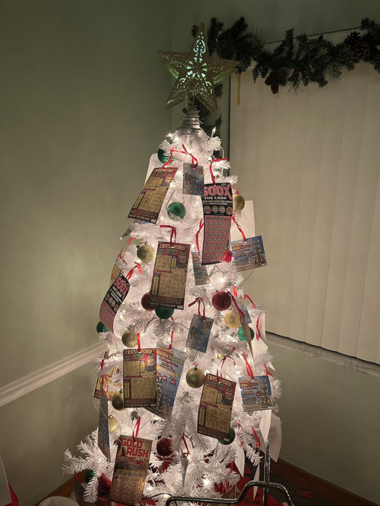 IN PICTURES: 12TH ANNUAL ZONTA FESTIVAL OF TREES