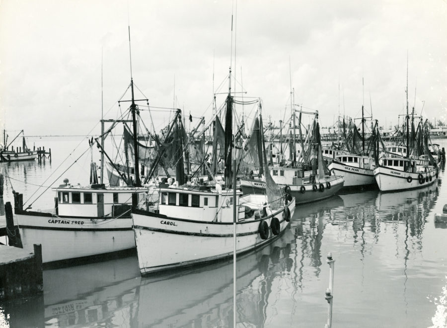 WORKING SHRIMP BOAT RETURNS TO KEY WEST HARBOR AFTER 30-YEAR ABSENCE
