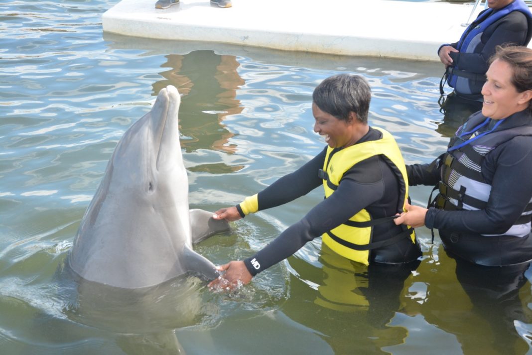 IN PICTURES: WOUNDED WARRIORS CYCLE THE FLORIDA KEYS
