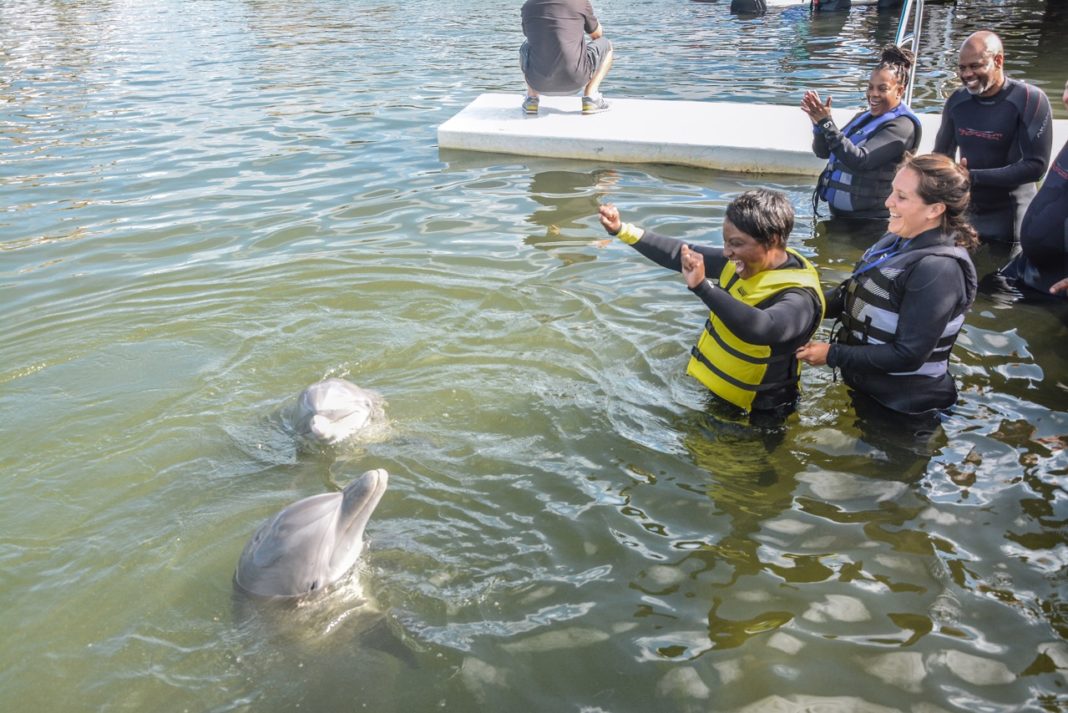 IN PICTURES: WOUNDED WARRIORS CYCLE THE FLORIDA KEYS