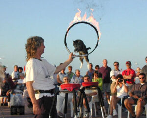PAWS IN PARADISE: MEET KEY WEST'S LEGENDARY 'CATMAN' & HIS FLYING FELINES