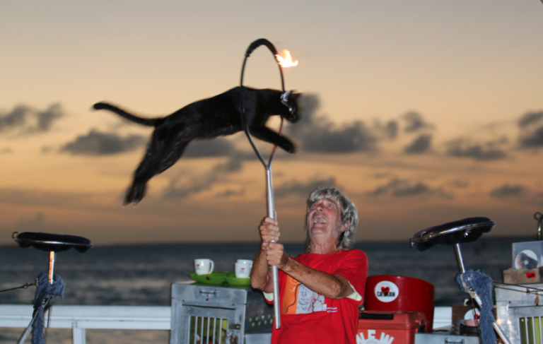 PAWS IN PARADISE: MEET KEY WEST'S LEGENDARY 'CATMAN' & HIS FLYING FELINES