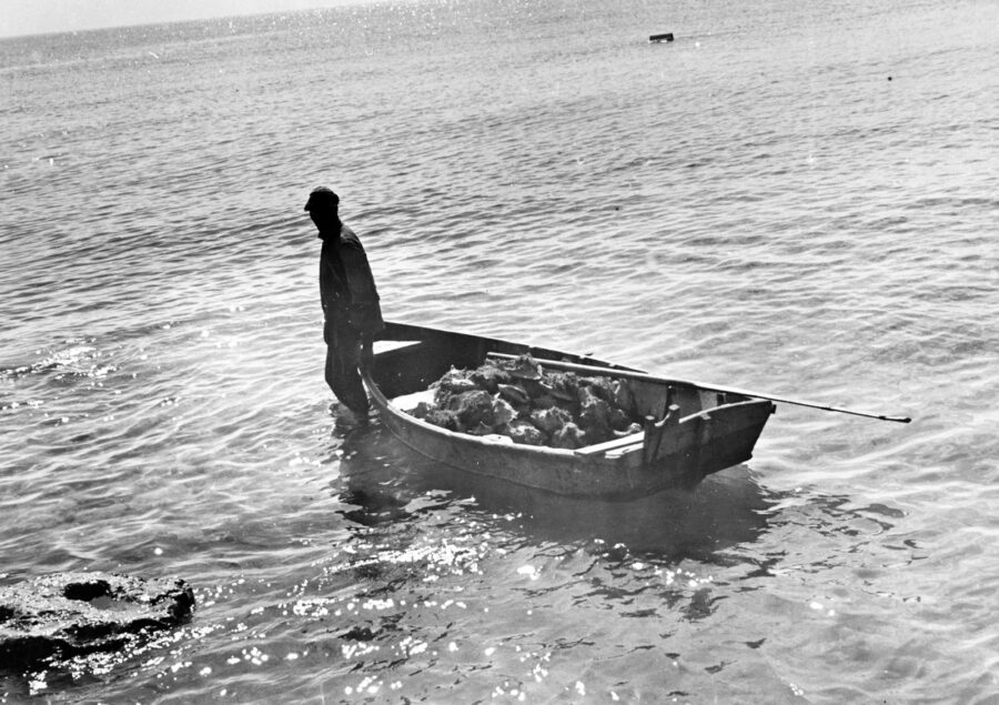QUEEN CONCH’S IMPRINT ON THE KEYS SPANS FROM THE MENU TO A FLAG
