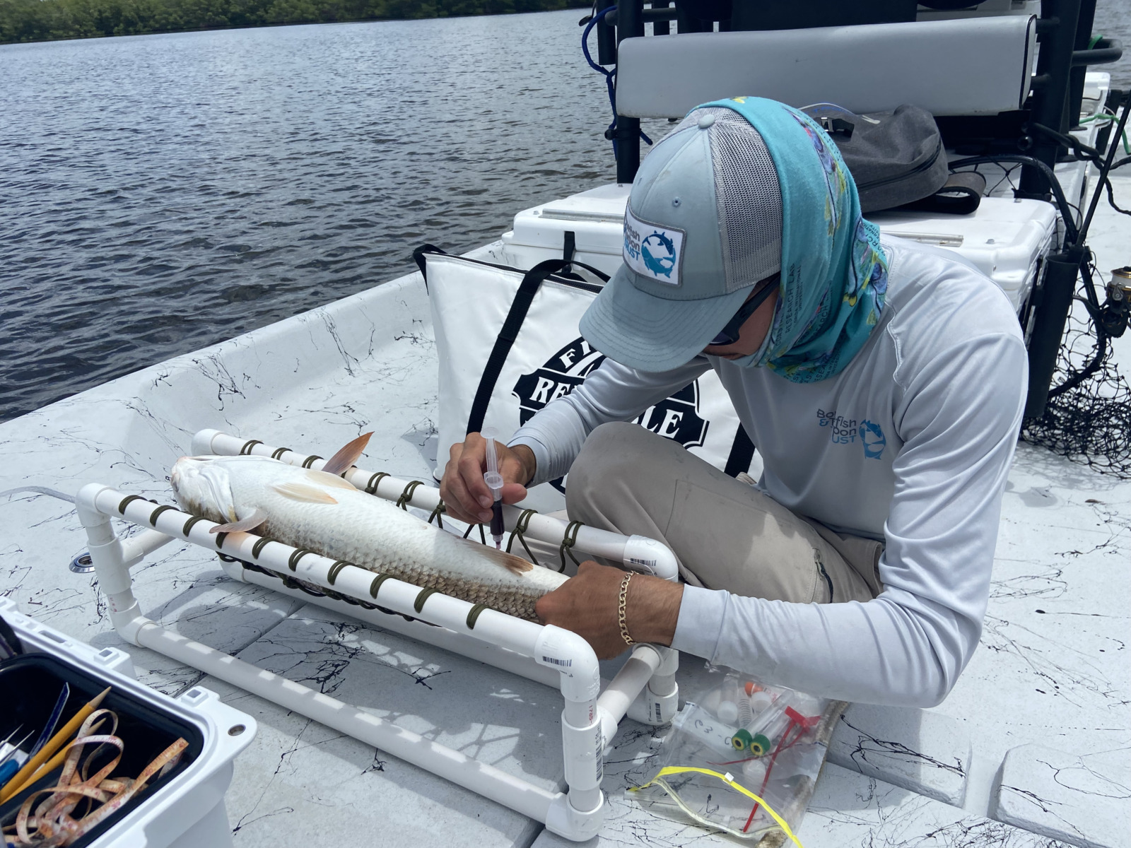 DRUGGED FISH: STUDY FINDS PHARMACEUTICALS IN REDFISH