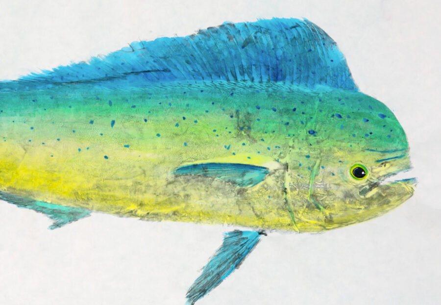 ARTIST’S CORNER: NEW GYOTAKU GALLERY OPENS IN ISLAMORADA