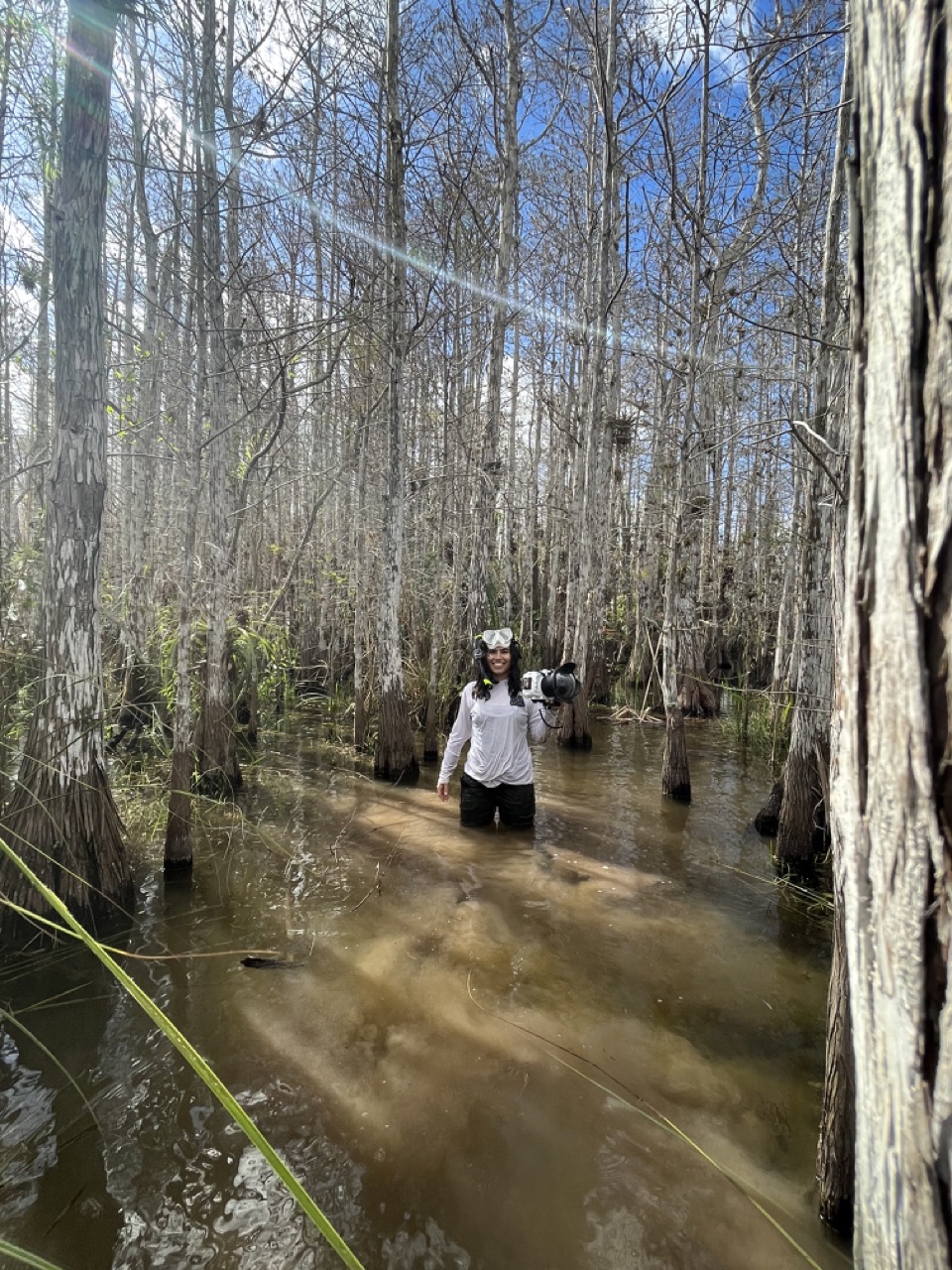 National Geographic Swamp