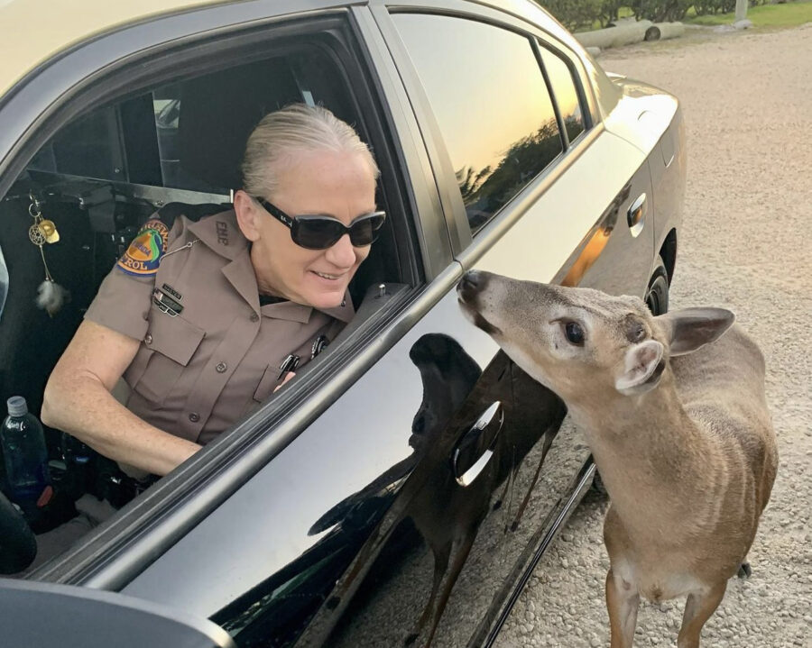 REMEMBERING FLORIDA HIGHWAY PATROL LIEUTENANT EVELYN WYSE