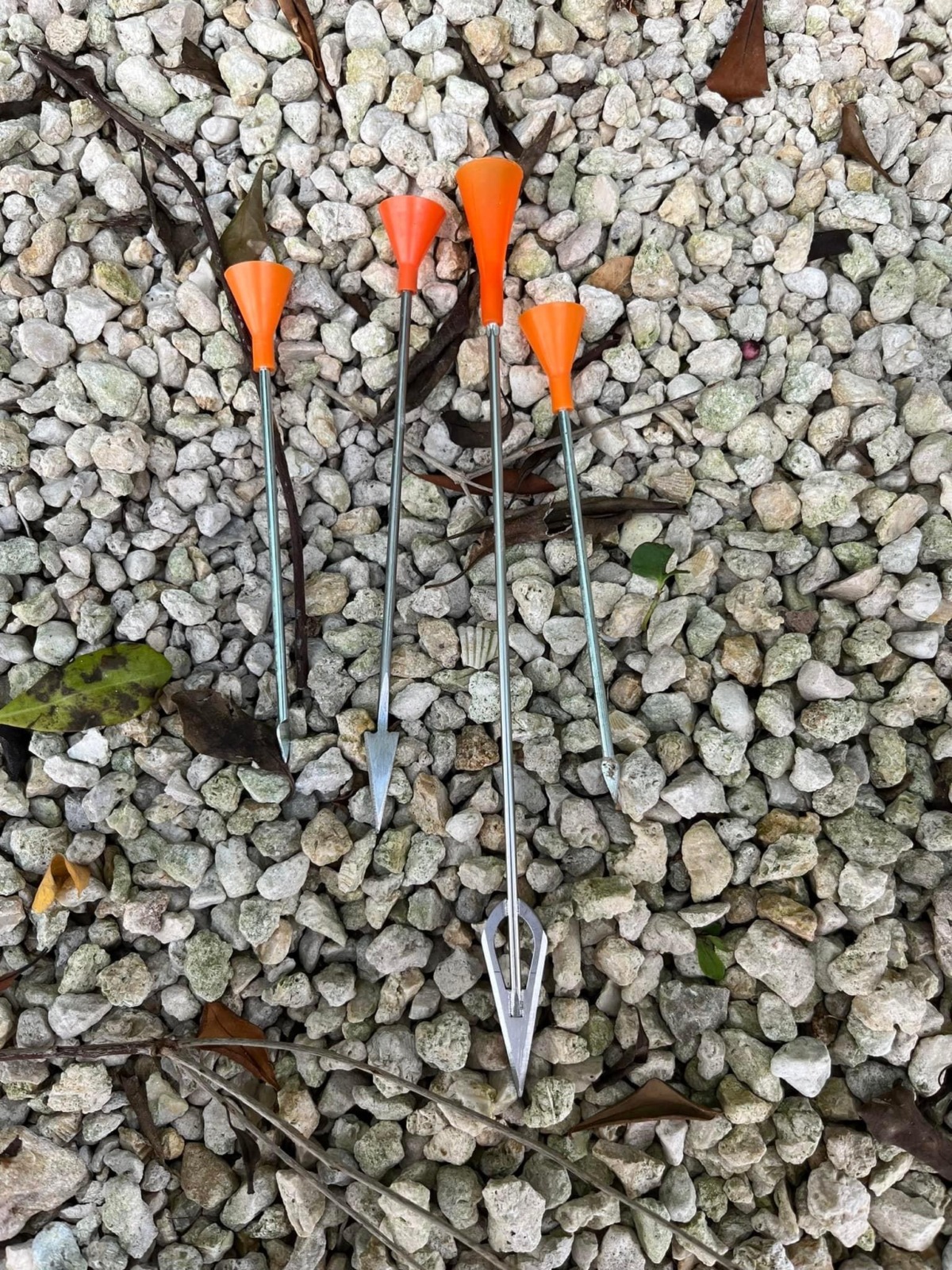 CATS FOUND IMPALED WITH DARTS HAVE TWO NONPROFITS & SHERIFF’S OFFICE ...
