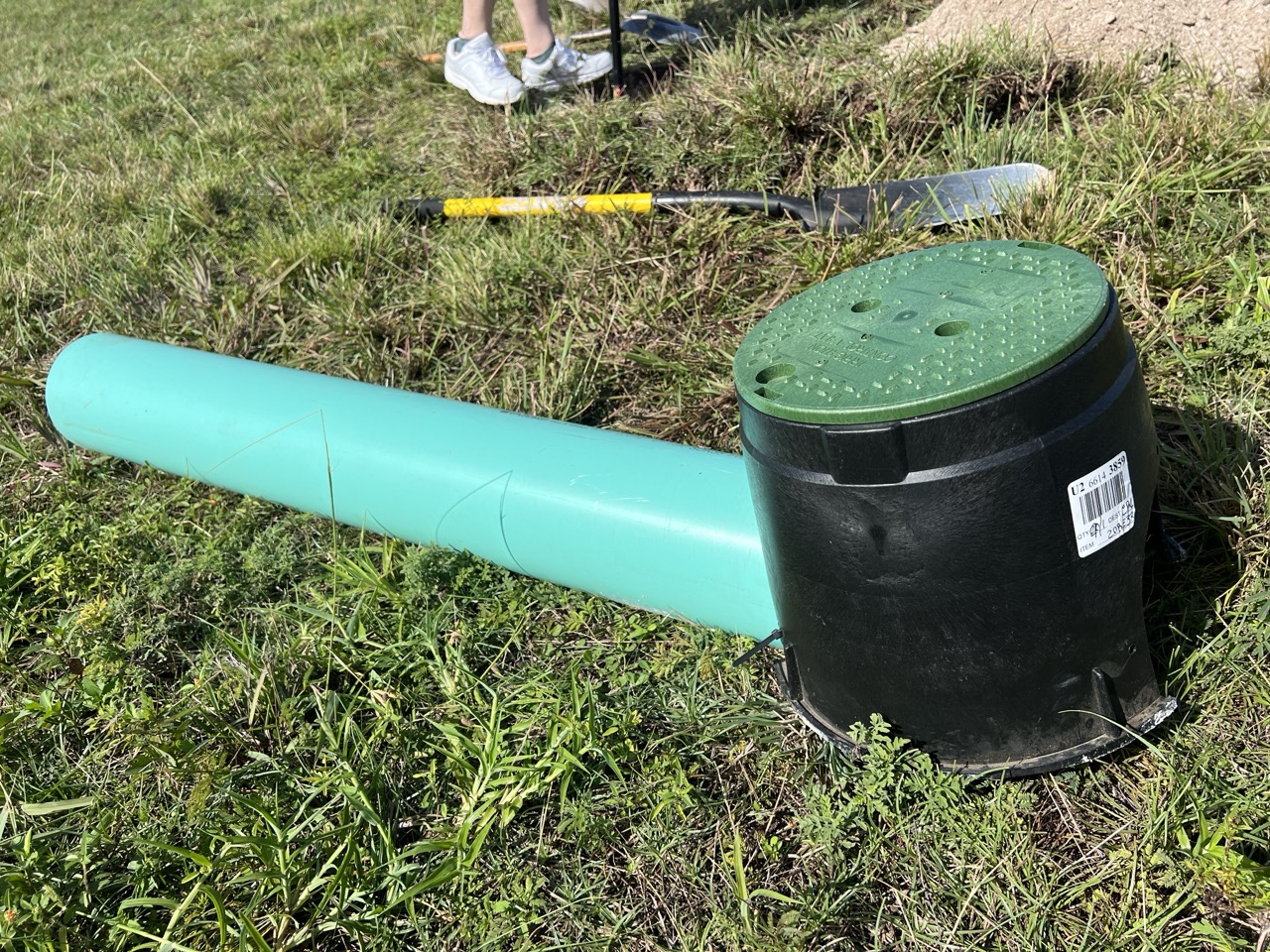 A NEST TO CALL HOME: GROUP HOPES ARTIFICIAL BURROWS BRING BACK ...