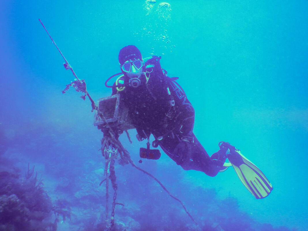 I.CARE'S MIKE GOLDBERG IS A CNN HERO OF THE YEAR FINALIST; HERE'S HOW ...