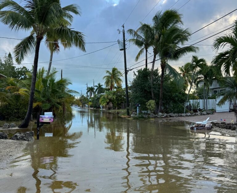 SURPRISE STORM WREAKS HAVOC ON THE KEYS